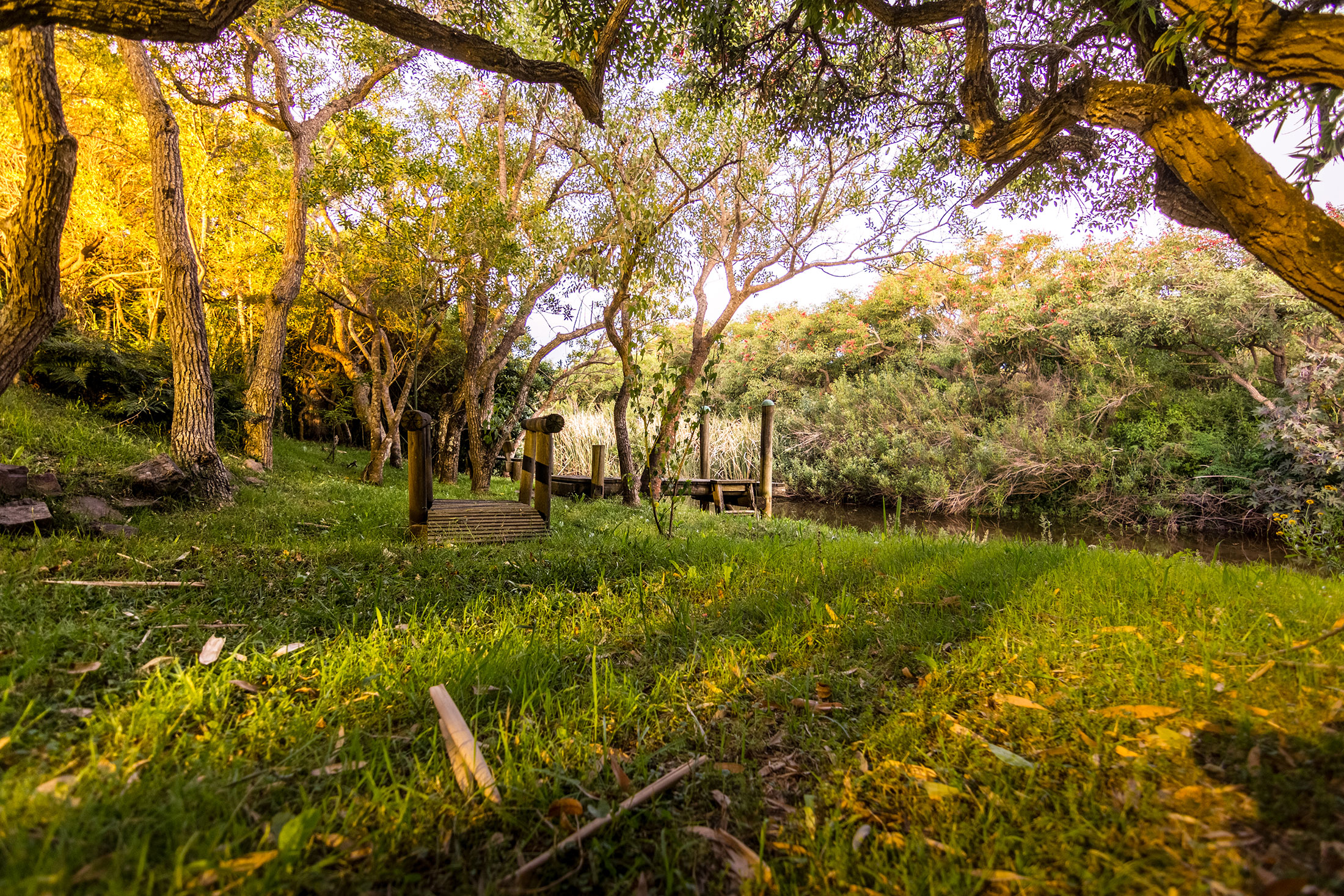 Punta Colorada - Estudio Pirez